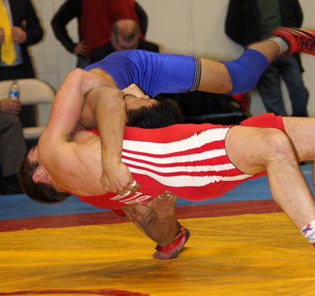 2007 Tech-Fall.com 2008 International Season